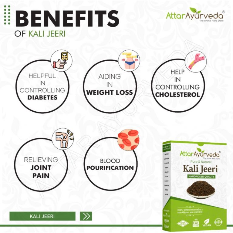 Buy Kali Jeeri | Kalijiri | Centratherum Anthelminticum - Attar Ayurveda