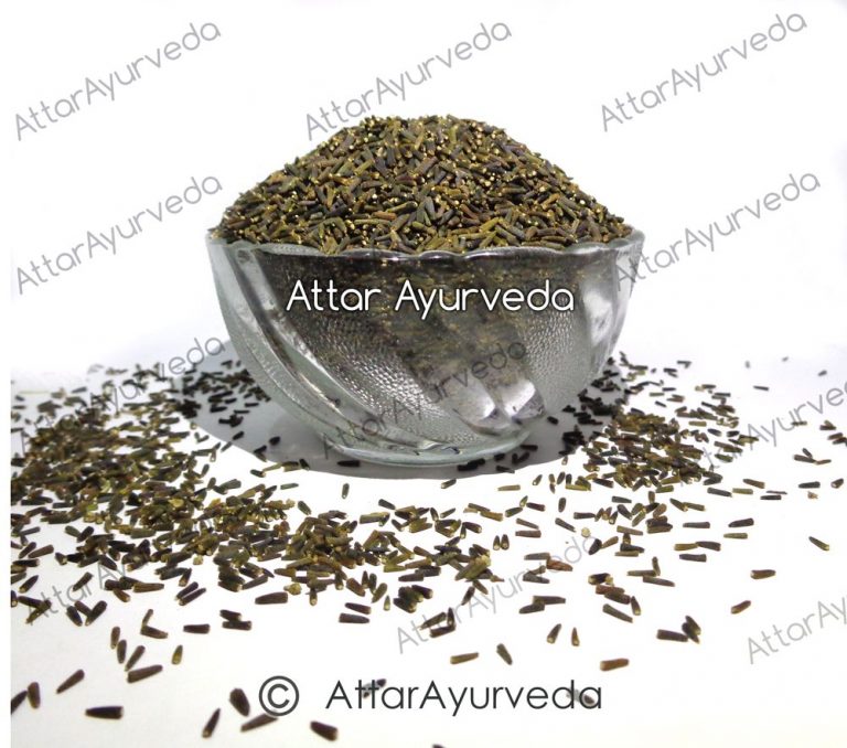 Buy Kali Jeeri | Kalijiri | Centratherum Anthelminticum - Attar Ayurveda