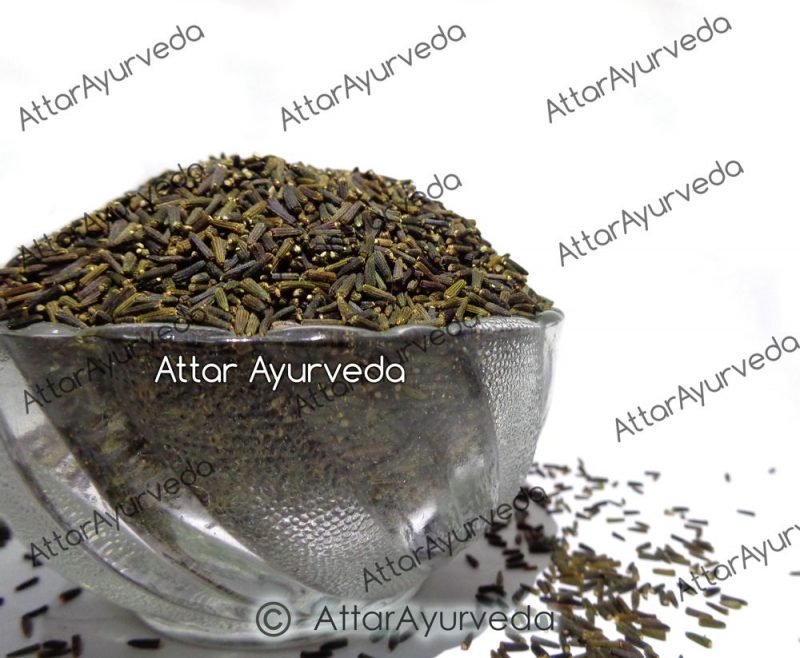 Buy Kali Jeeri | Kalijiri | Centratherum Anthelminticum - Attar Ayurveda