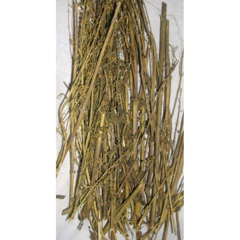 Buy Chirata / Chirayta | Bitterstick | Indian Gentian | Swertia ...