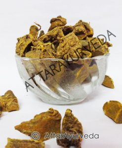 Buy Amba Haldi | Ban Haldi | Curcuma Aromatica - Attar Ayurveda
