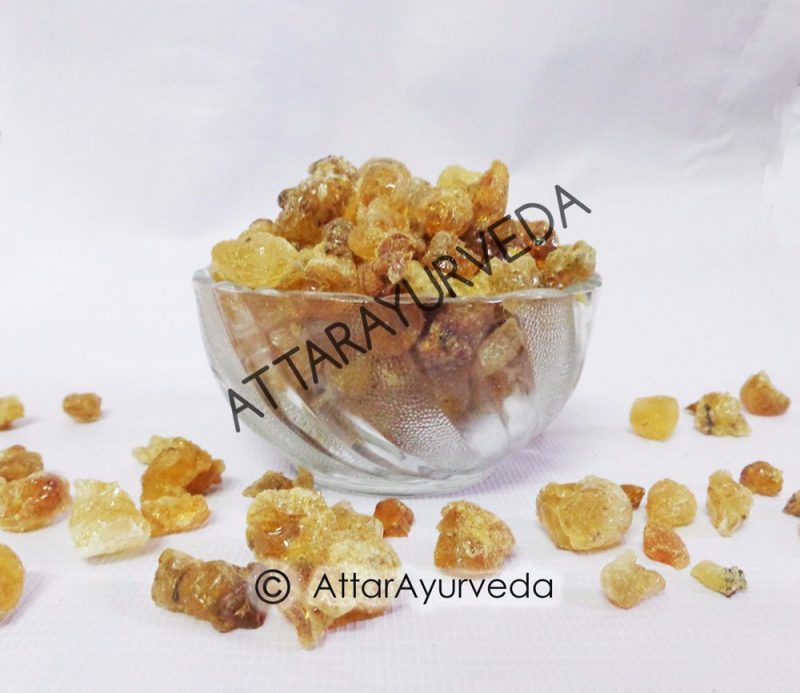 Buy Babul Gond | Kikar Gond | Indian Gum Arabic | Acacia arabica Willd