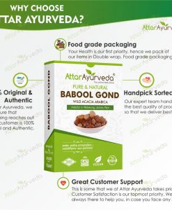 Buy Babul Gond | Kikar Gond | Indian Gum Arabic | Acacia arabica Willd