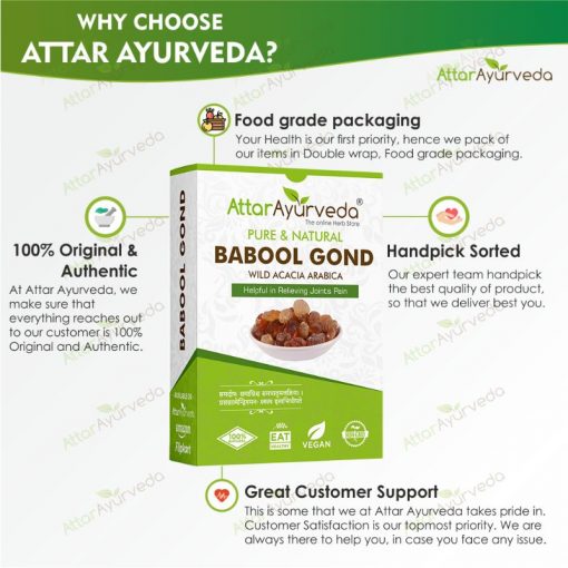 Buy Babul Gond | Kikar Gond | Indian Gum Arabic | Acacia arabica Willd