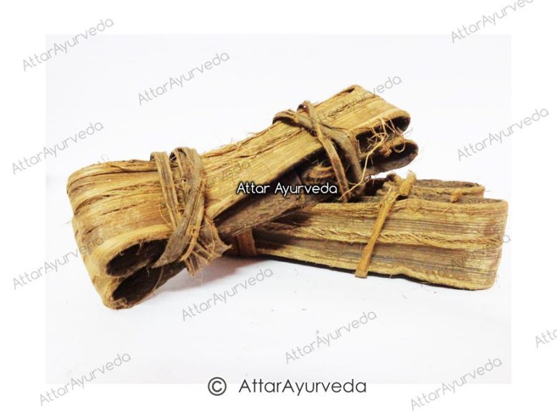 Buy Dandasa | Datun | Walnut Tree Peel - Attar Ayurveda