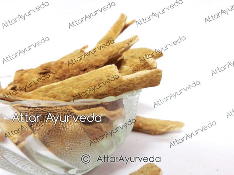 Buy Lodhra - Pathani Lodh - Symplocos Racemosa Bark - AttarAyurveda