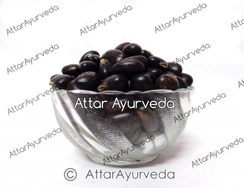 Buy Kaunch Seeds | Kaunch Beej | Mucuna Pruriens (Black) - Attar Ayurveda