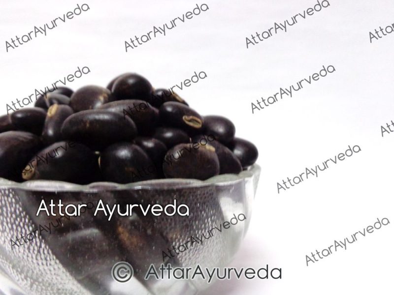 Buy Kaunch Seeds | Kaunch Beej | Mucuna Pruriens (Black) - Attar Ayurveda