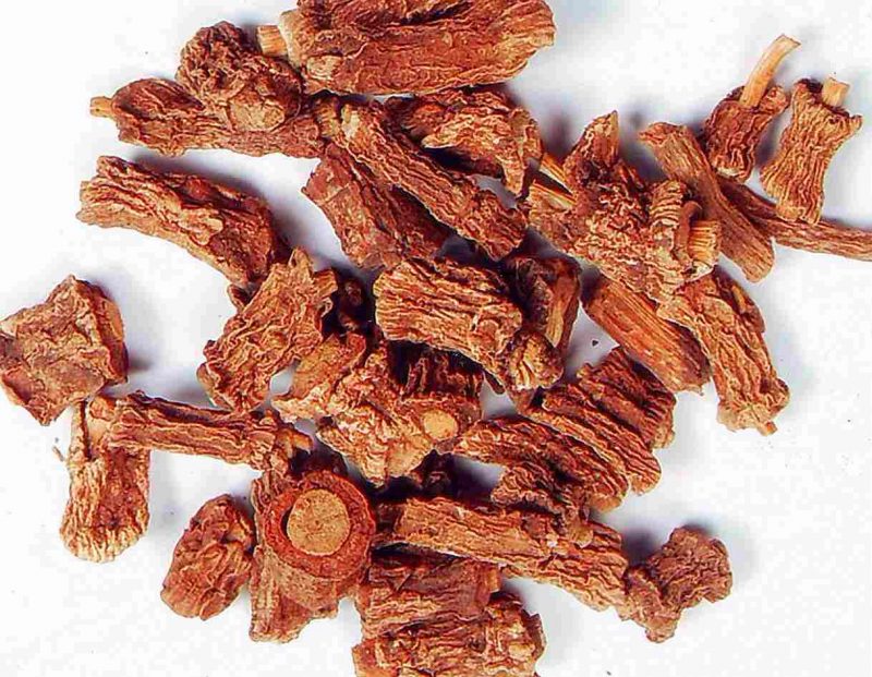 Buy Sariva - Anantamul - Hemidesmus Indicus - Attar Ayurveda