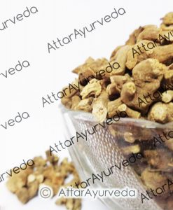 Buy Pippali mool | Long pepper Root | Piper Longum - Attar Ayurveda