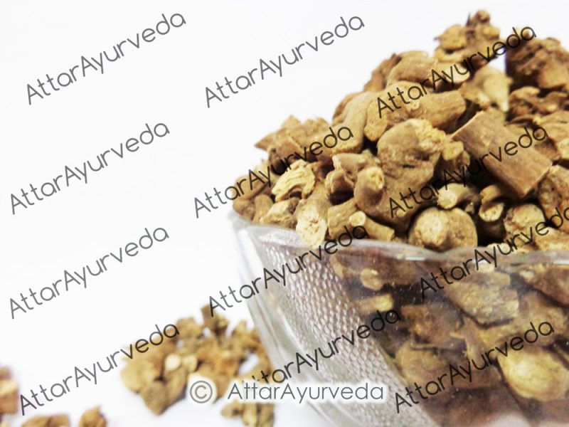 Buy Pippali mool | Long pepper Root | Piper Longum - Attar Ayurveda