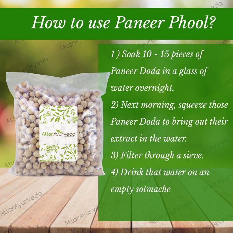 Buy Paneer Doda | Paneer Phool | Withania Coagulans - Attar Ayurveda