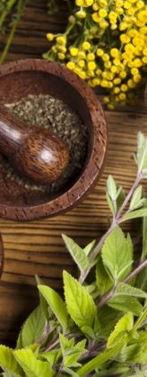 Buy Kali Jeeri | Kalijiri | Centratherum Anthelminticum - Attar Ayurveda